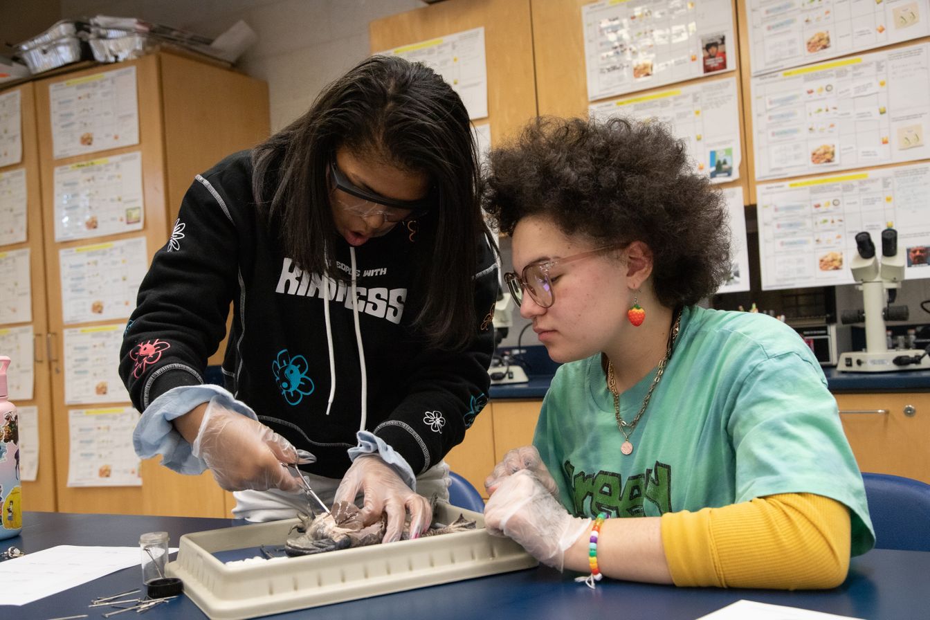 MS Back to School Night | The Park School of Baltimore