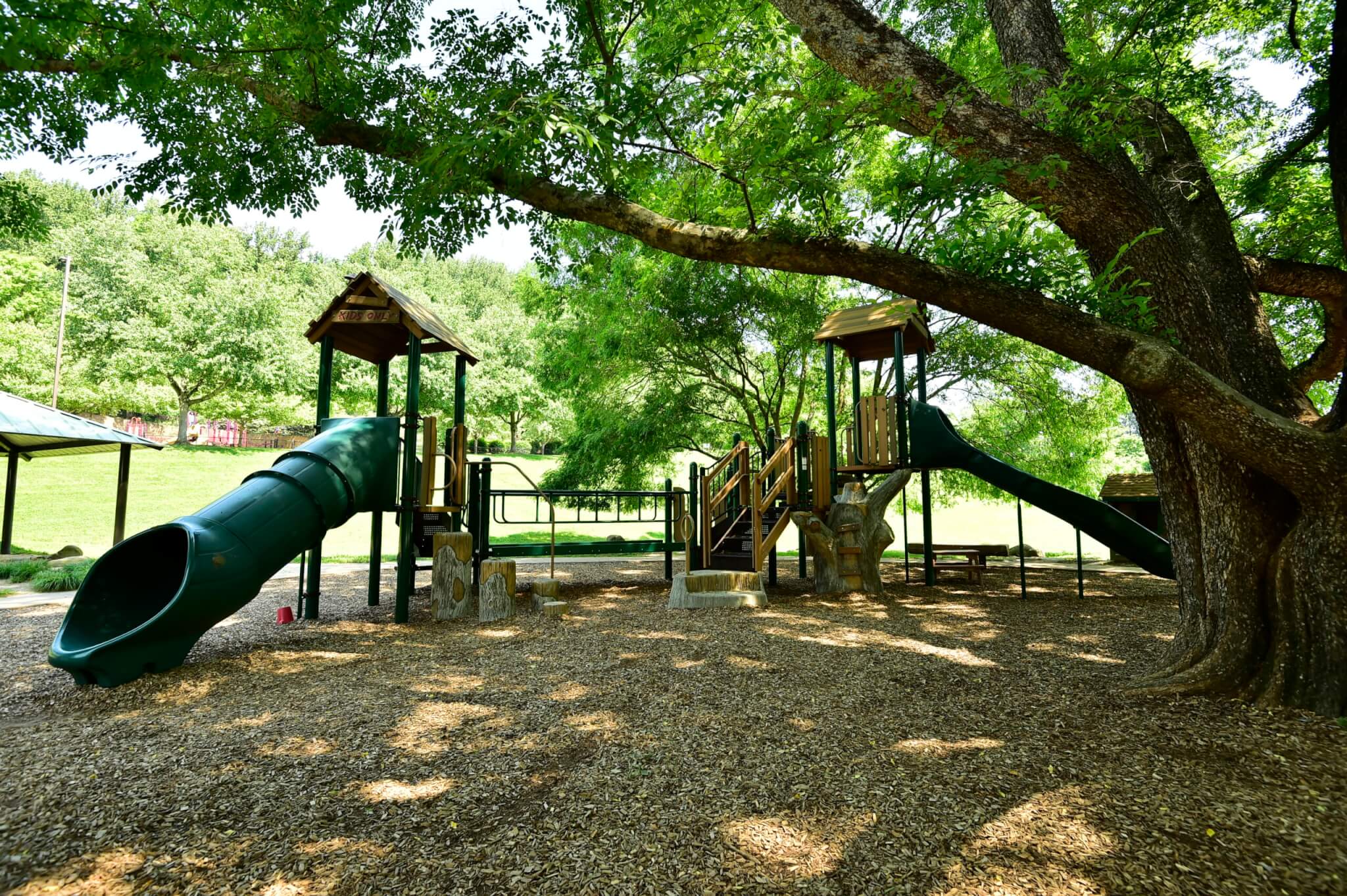 Explore Our Campus | The Park School of Baltimore