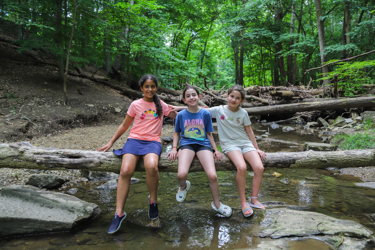 Summer Camps in Baltimore MD | The Park School of Baltimore