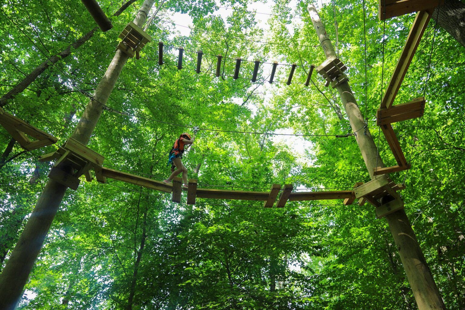 Team Building Activities Baltimore | The Park School of Baltimore